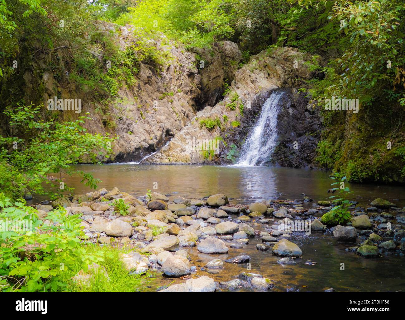 Cerveteri (Italy) - Beside Rome, Cerveteri is one of most important ...