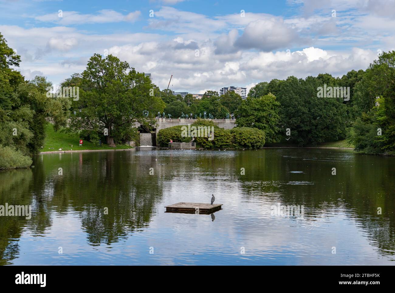 A picture of the lake and bridge at the Vigeland or Frogner Park Stock ...