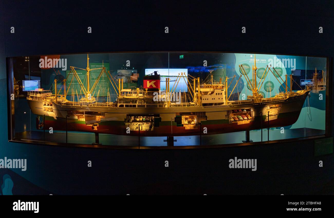 A picture of the Voyages with the Chief and Sally Jones exhibition at ...