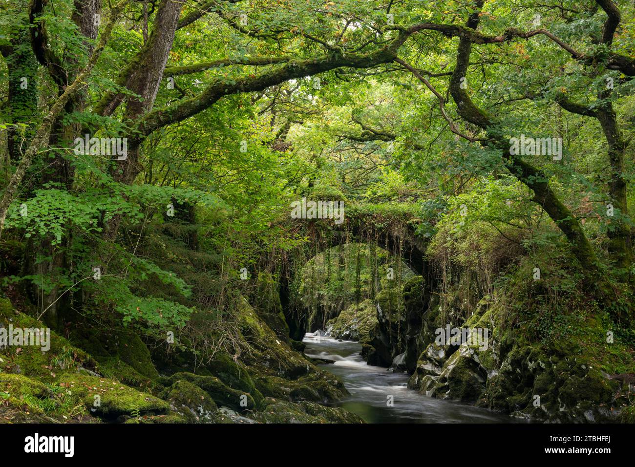 Roman bridge penmachno near betws hi-res stock photography and images ...