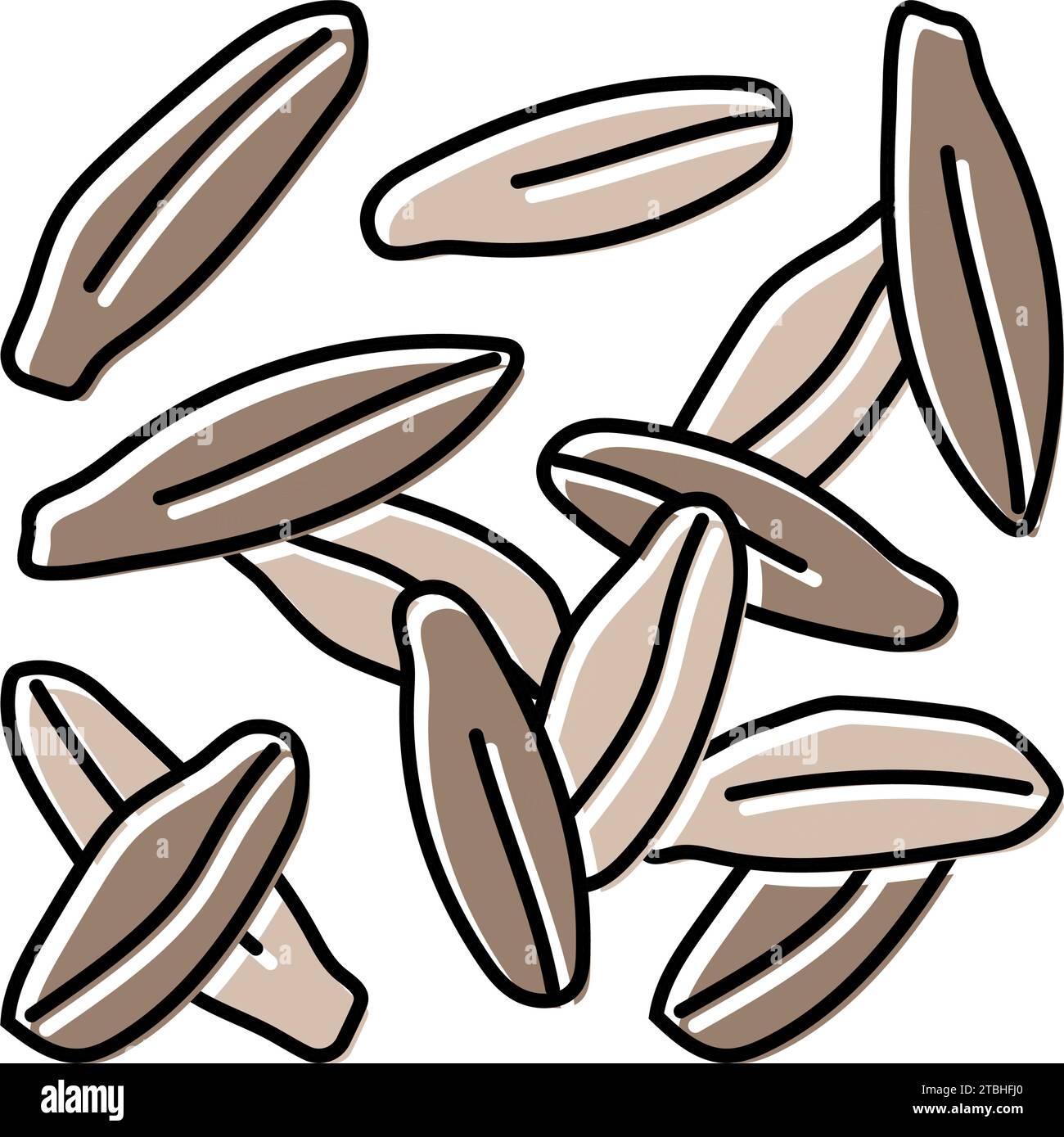 cumin food herb color icon vector illustration Stock Vector Image & Art ...