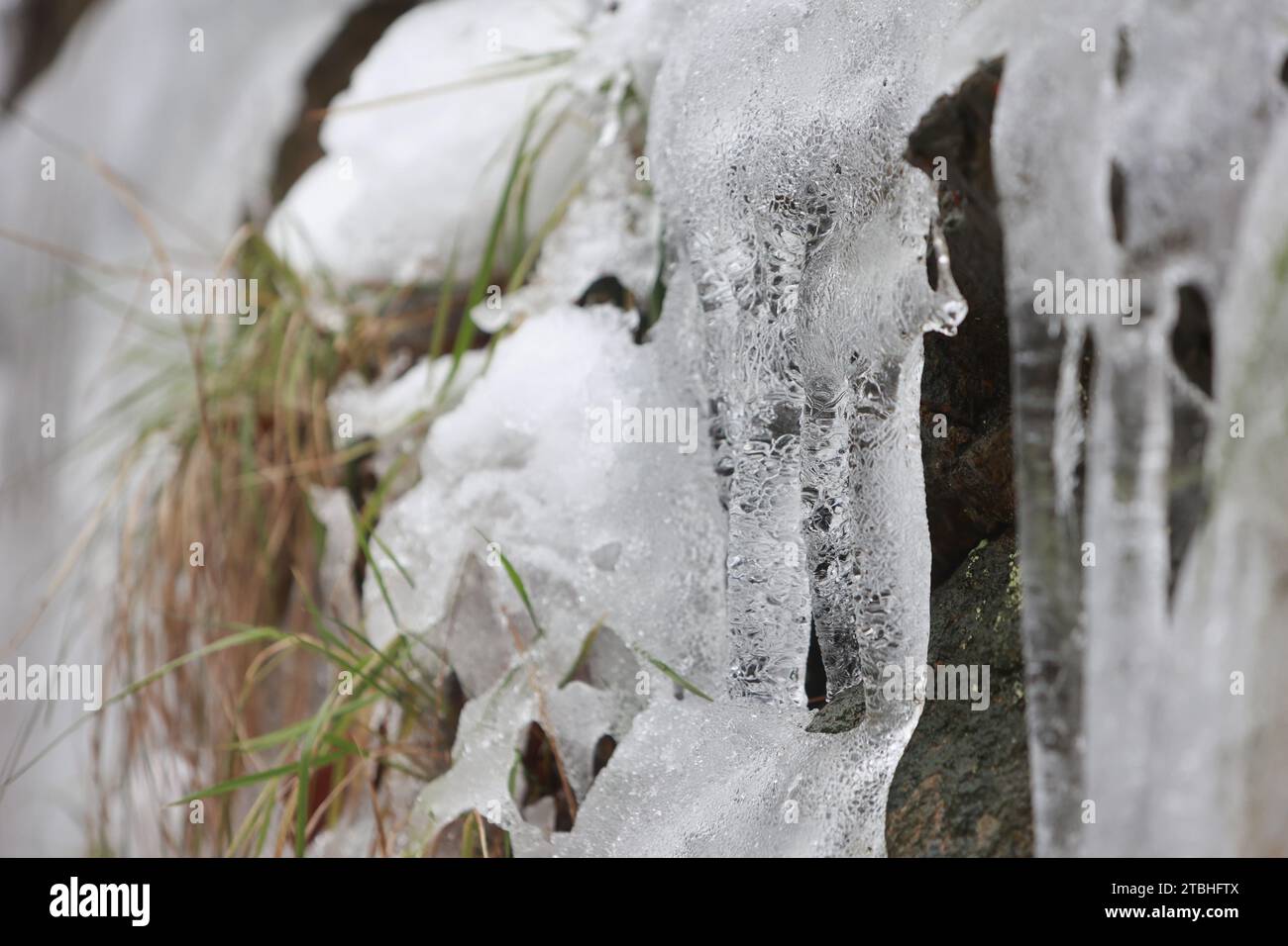 Ilsenburg, Germany. 07th Dec, 2023. Icicles form in the area of the Ilse Falls in Ilsenburg. The ...