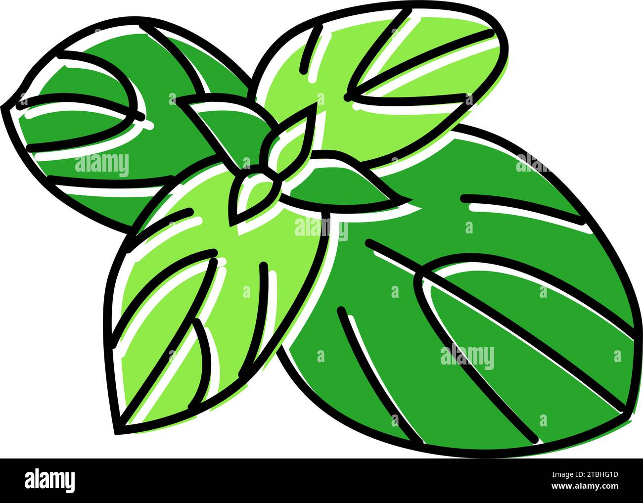 basil food herb color icon vector illustration Stock Vector Image & Art ...