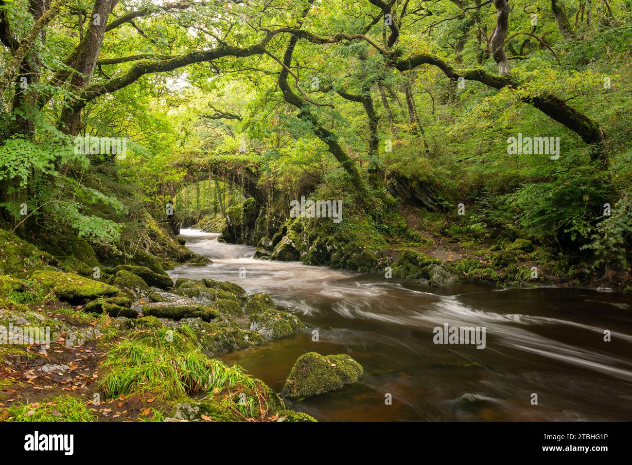 Roman bridge penmachno near betws hi-res stock photography and images ...