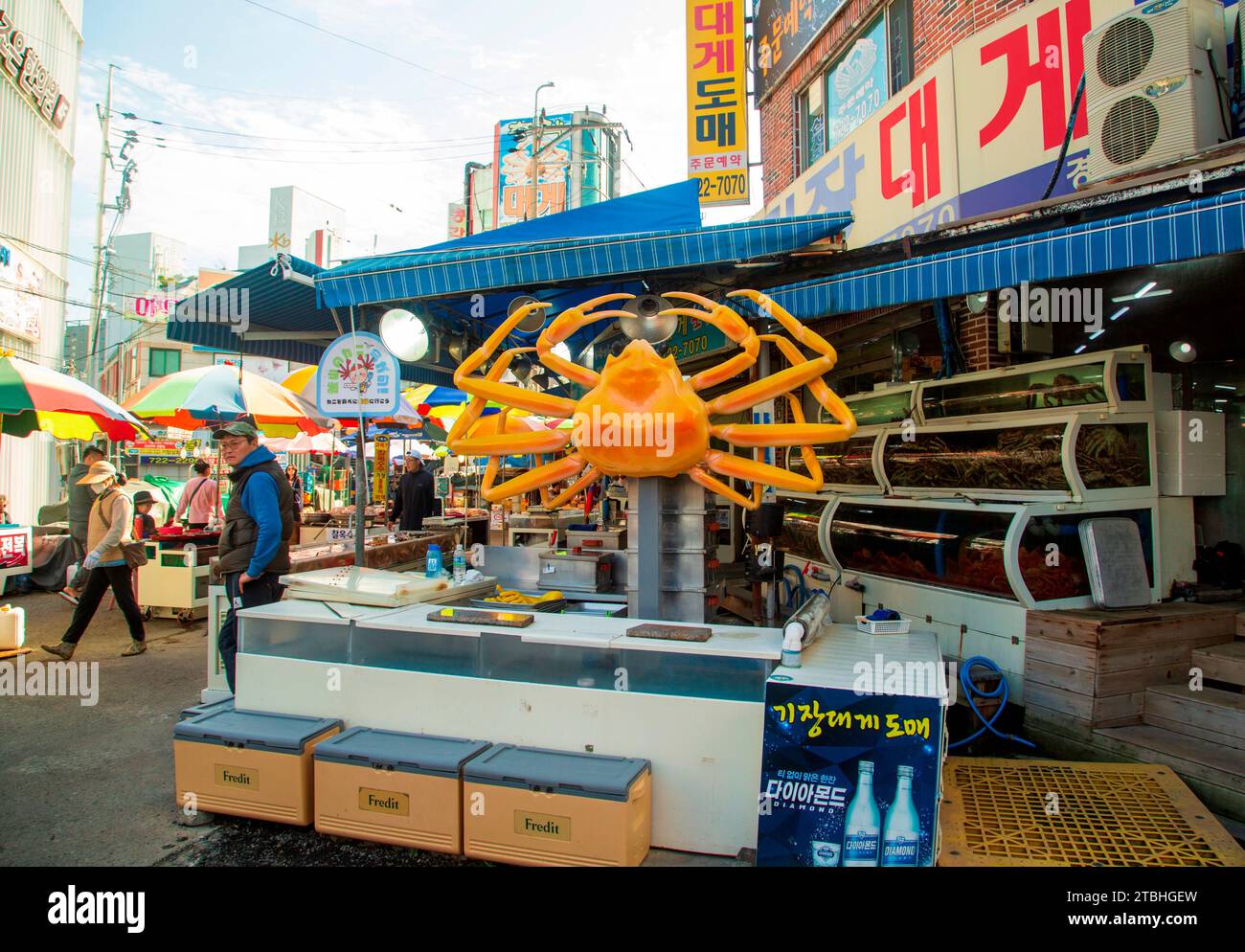 Gijang Crab Market, Nov 10, 2023 : Gijang crab market in Busan, about ...