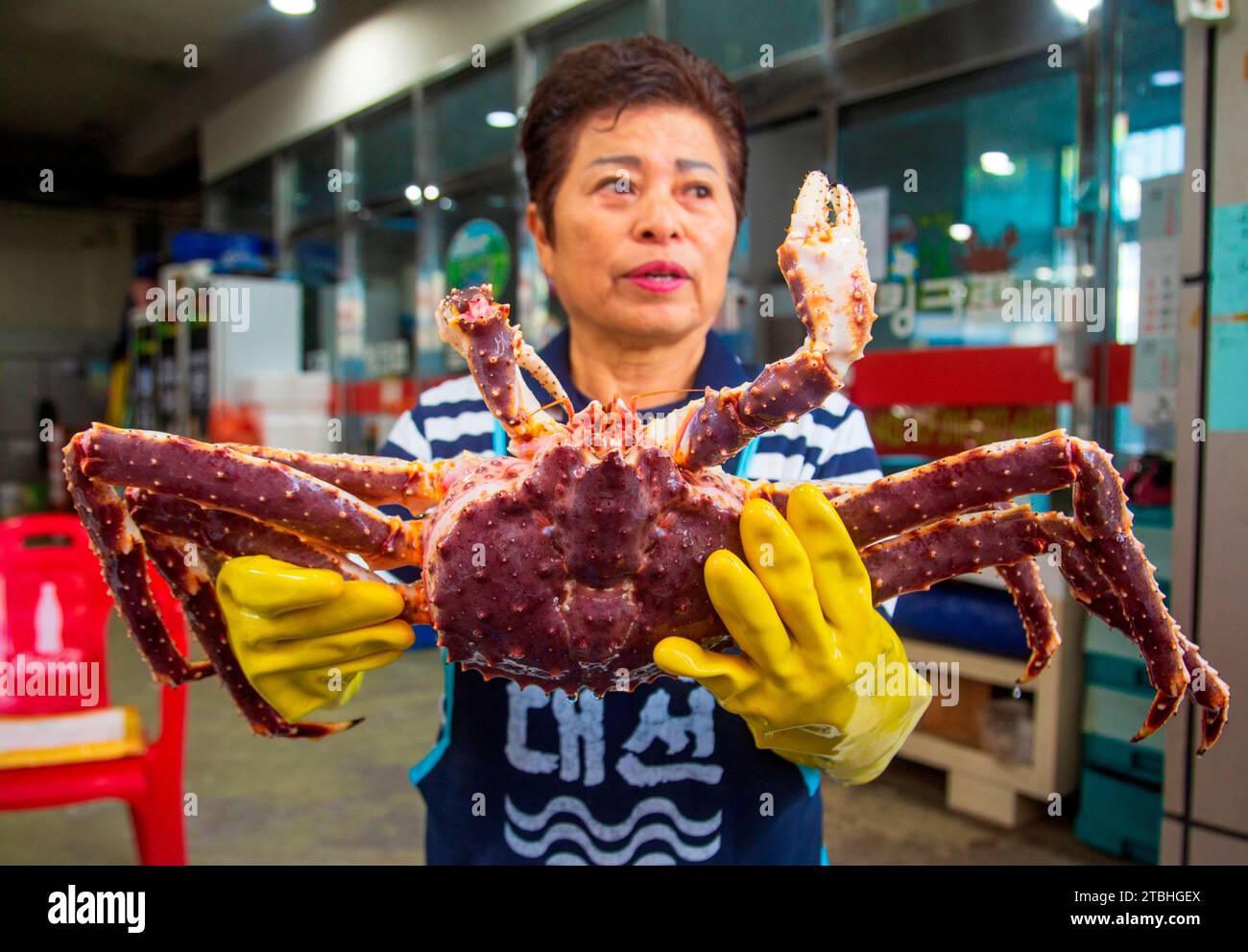 Gijang Crab Market, Nov 10, 2023 : Gijang crab market in Busan, about ...
