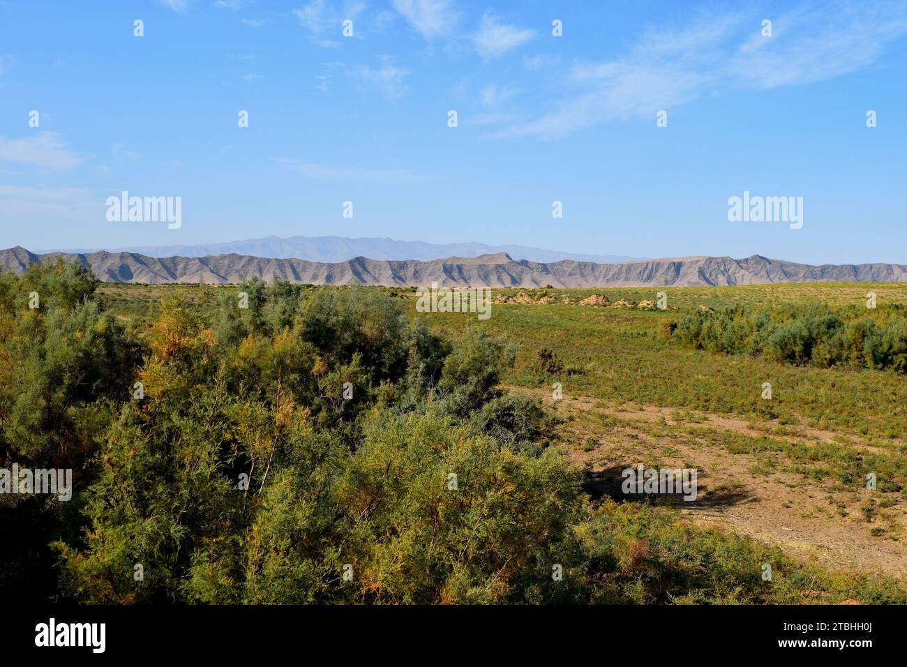 Uzbekistan desert hi-res stock photography and images - Alamy