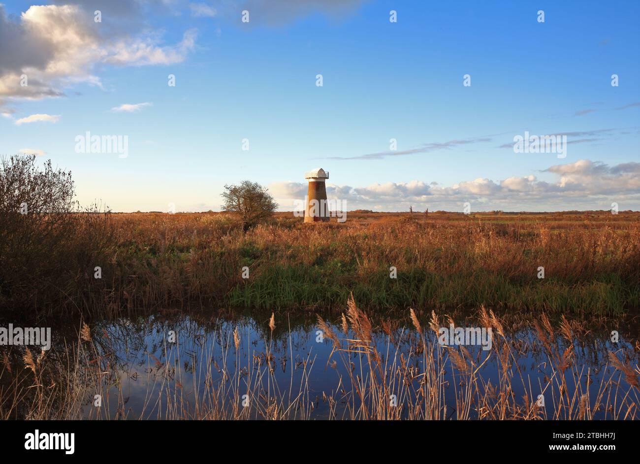 A landscape on the Norfolk Broads over low lying fen and marshland east ...