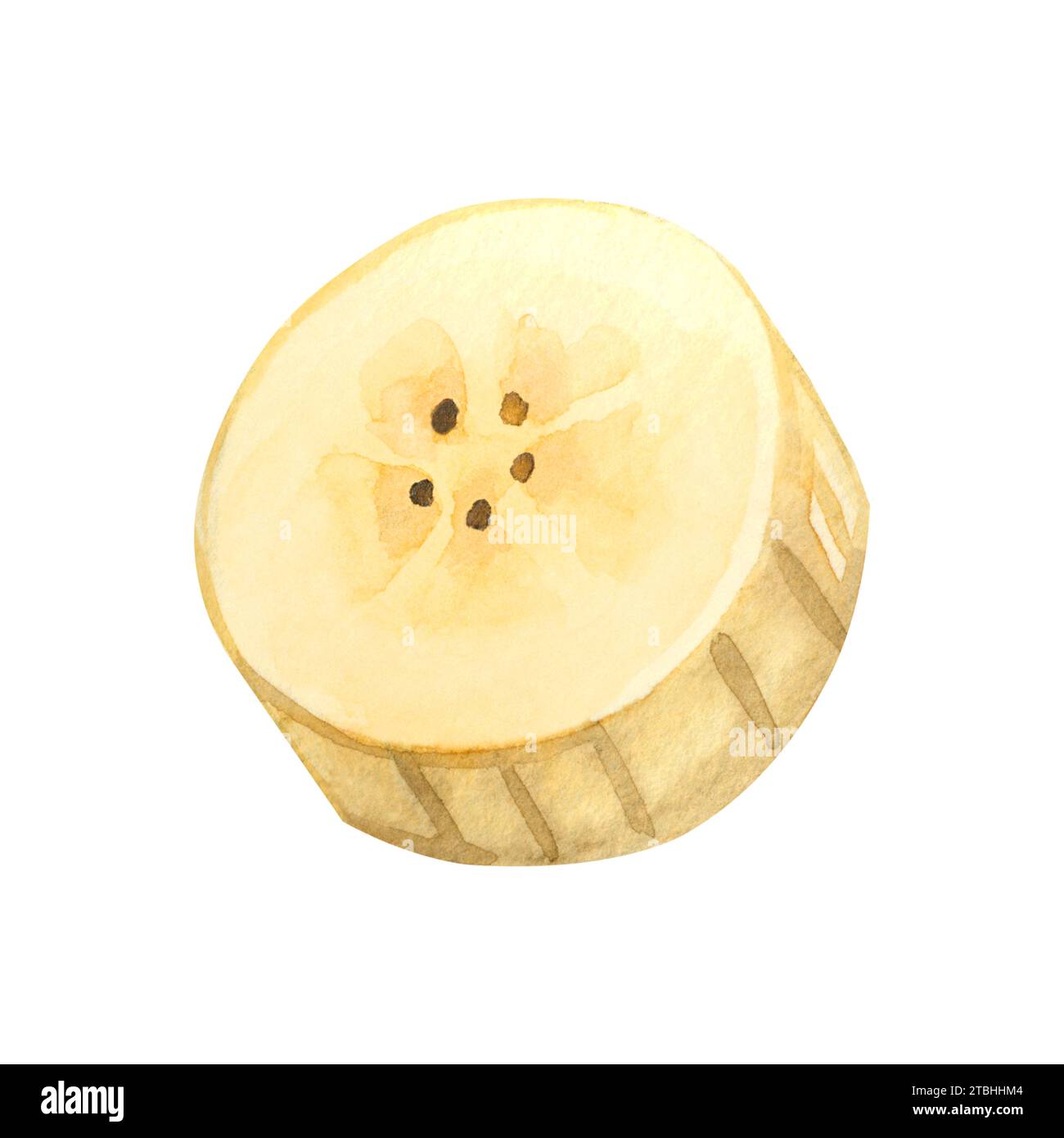 Watercolor illustration. Ripe banana without peel, banana slice, fruit ...