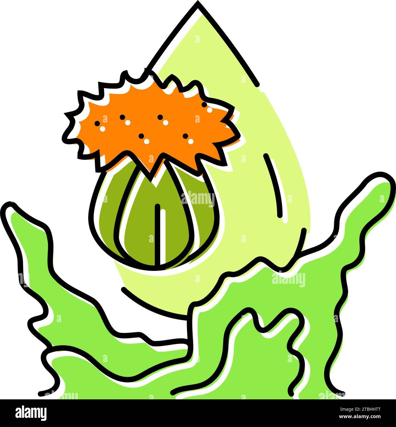 safflower seed oil liquid yellow color icon vector illustration Stock ...