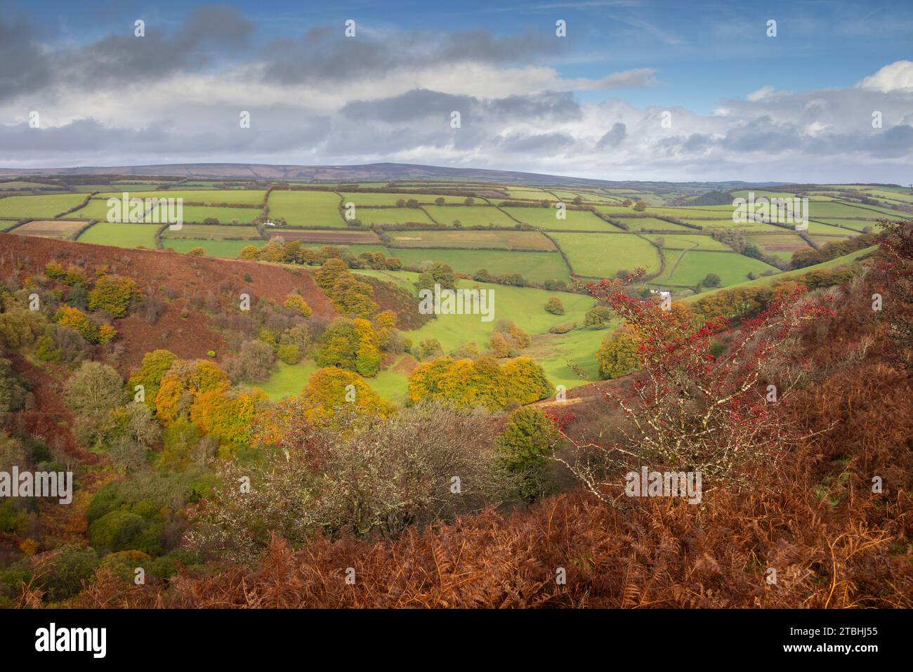 Exmoor's rolling countryside from The Punchbowl on Winsford Hill ...