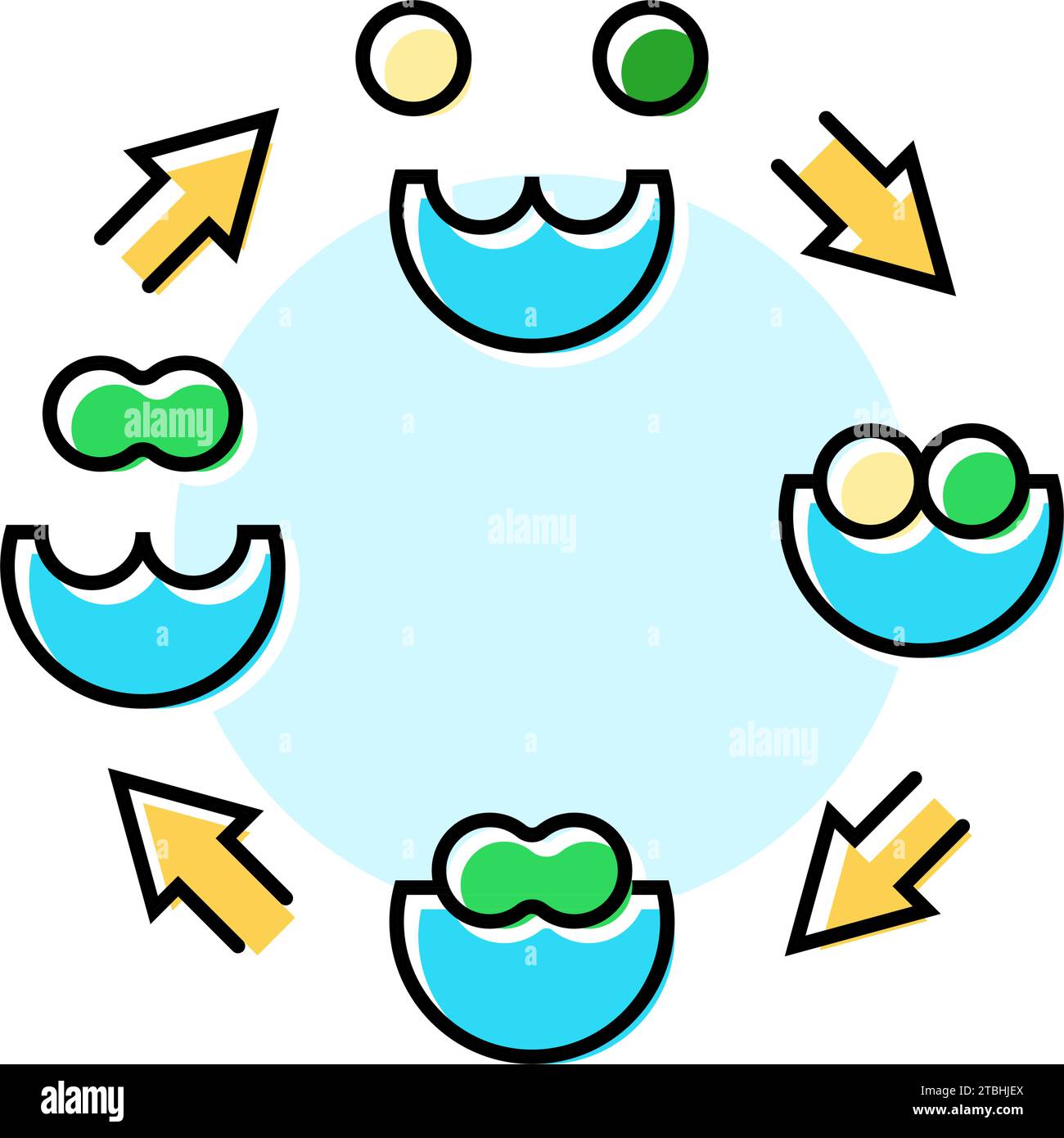 enzyme catalysis biochemistry color icon vector illustration Stock ...