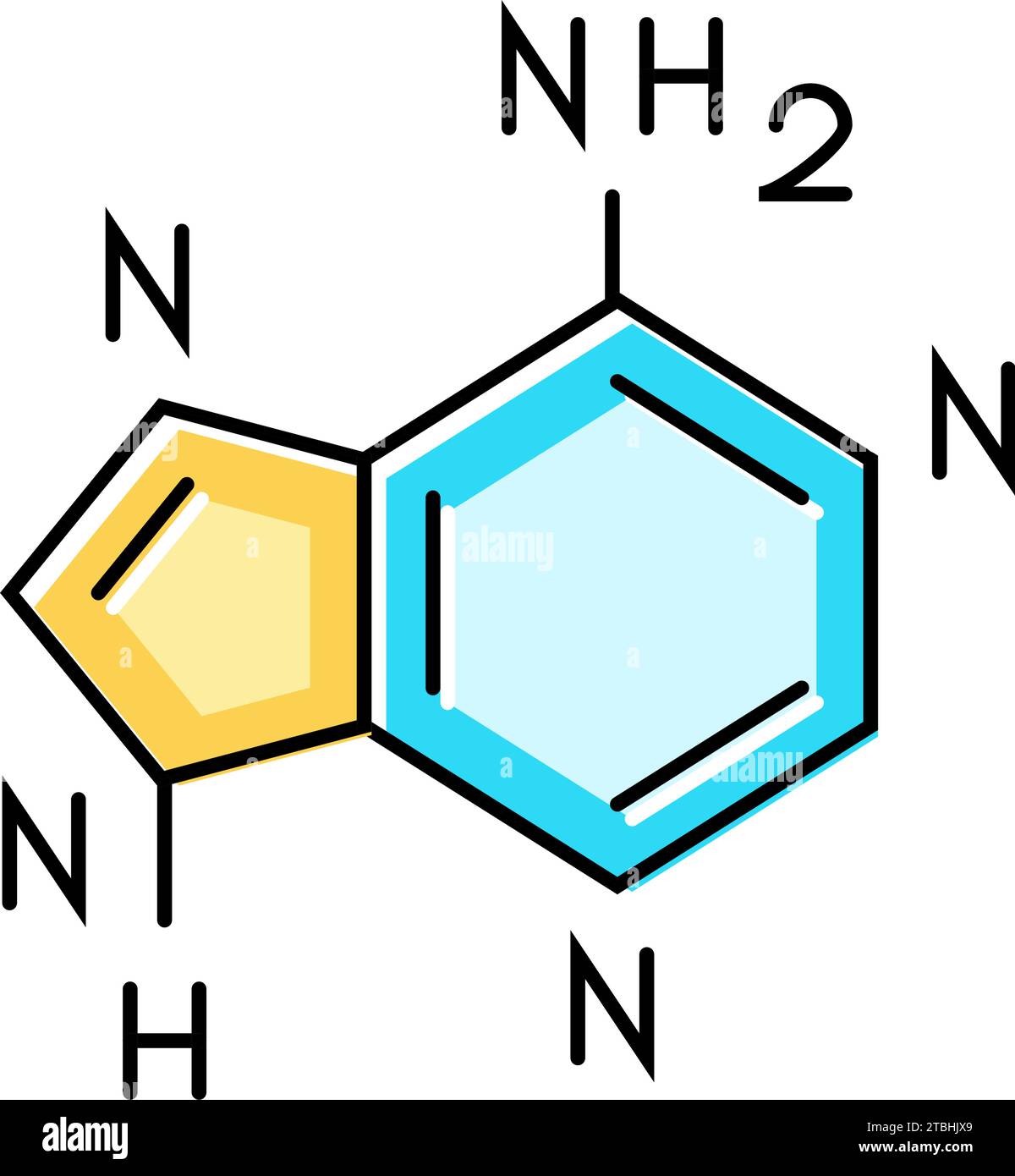 Nucleic Acid Bases Biochemistry Color Icon Vector Illustration Stock Vector Image And Art Alamy