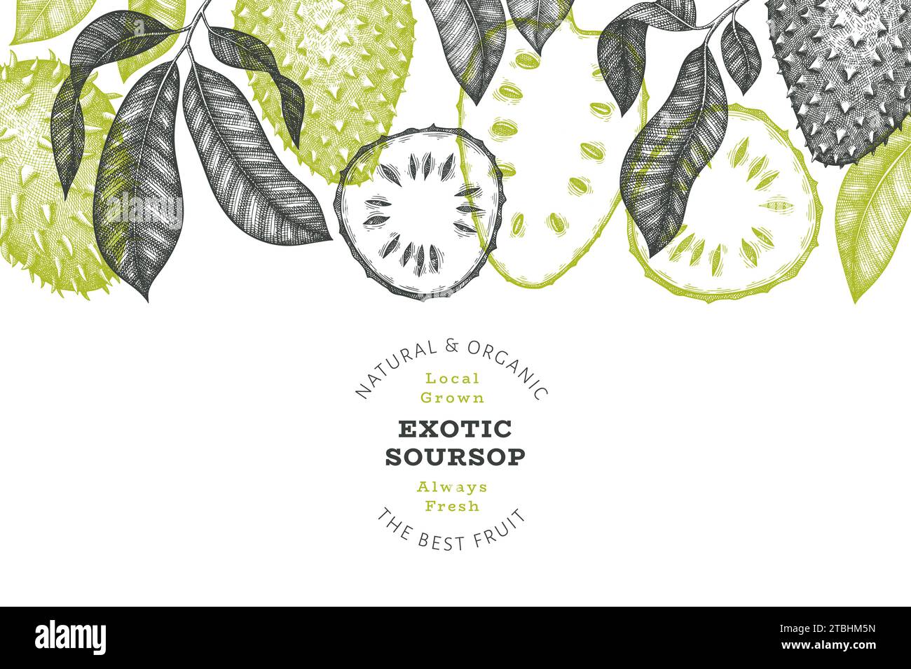 Hand drawn sketch style soursop fruit banner. Organic fresh fruit ...
