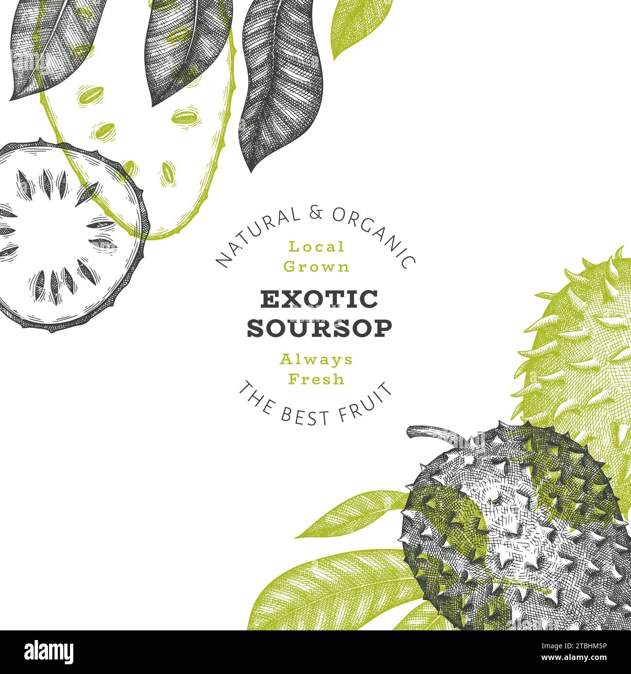 Hand drawn sketch style soursop fruit banner. Organic fresh fruit ...