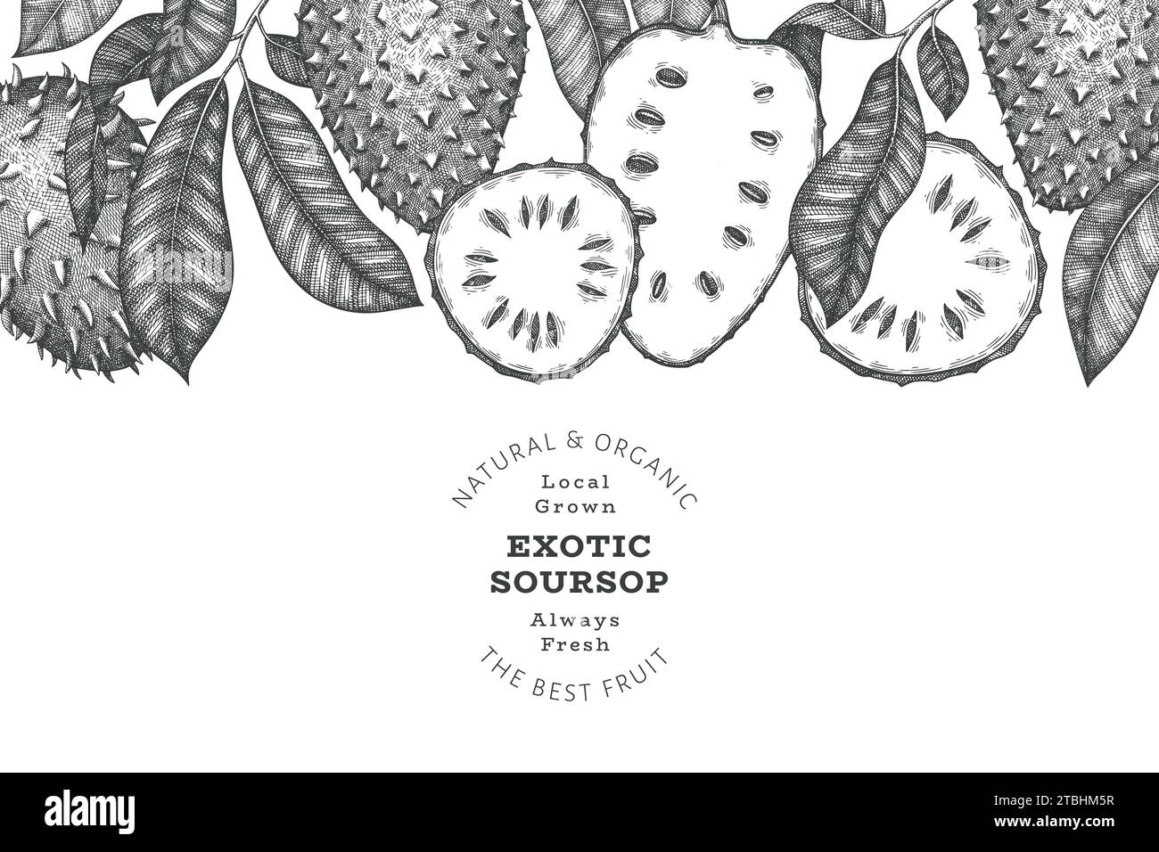 Hand drawn sketch style soursop fruit banner. Organic fresh fruit ...