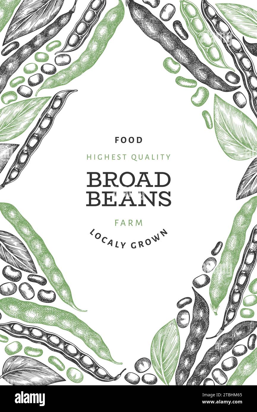 Hand drawn broad beans design template. Organic fresh food vector ...