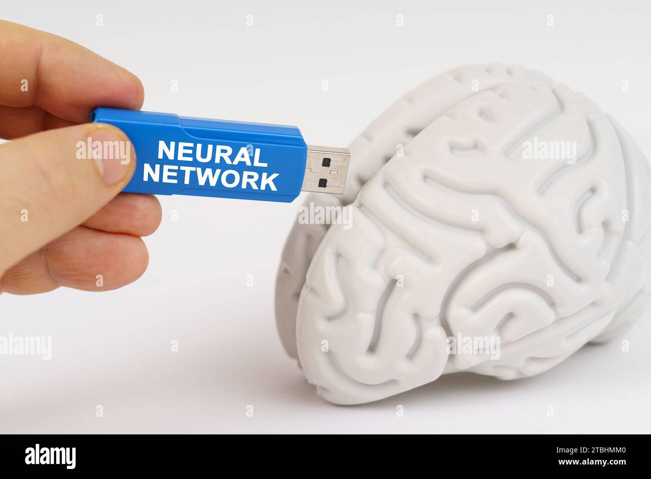 Artificial neural networks and the human brain hi-res stock photography ...