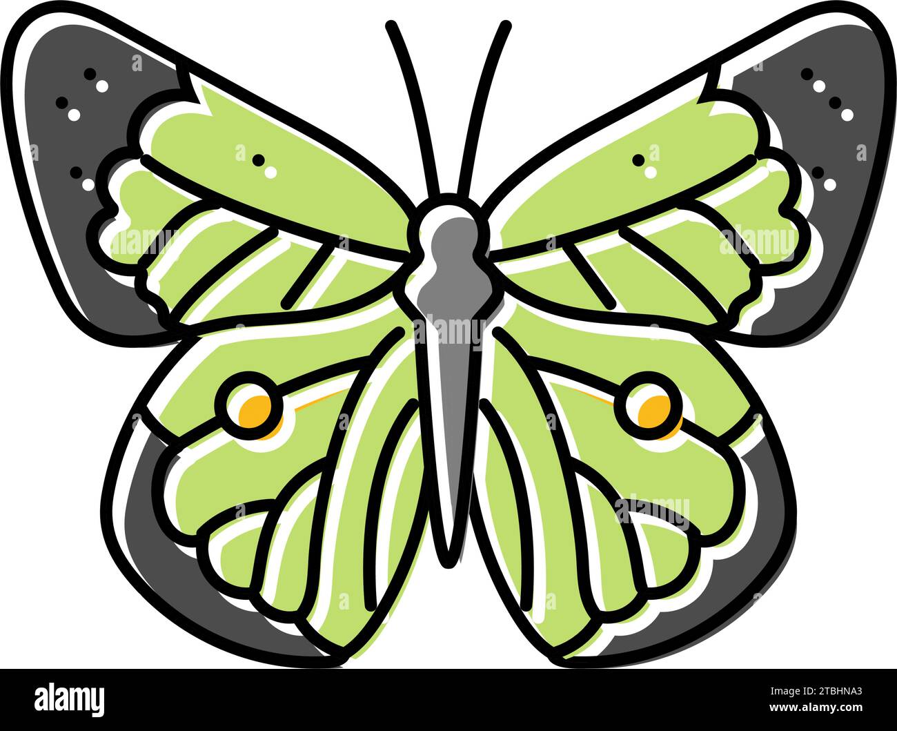 orange sulfur summer color icon vector illustration Stock Vector Image ...