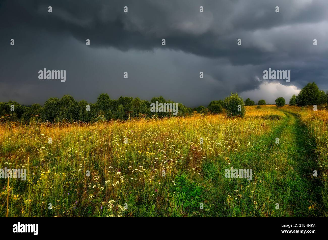 Dramatic sky with gray rainy clouds over summer meadow on hill before ...
