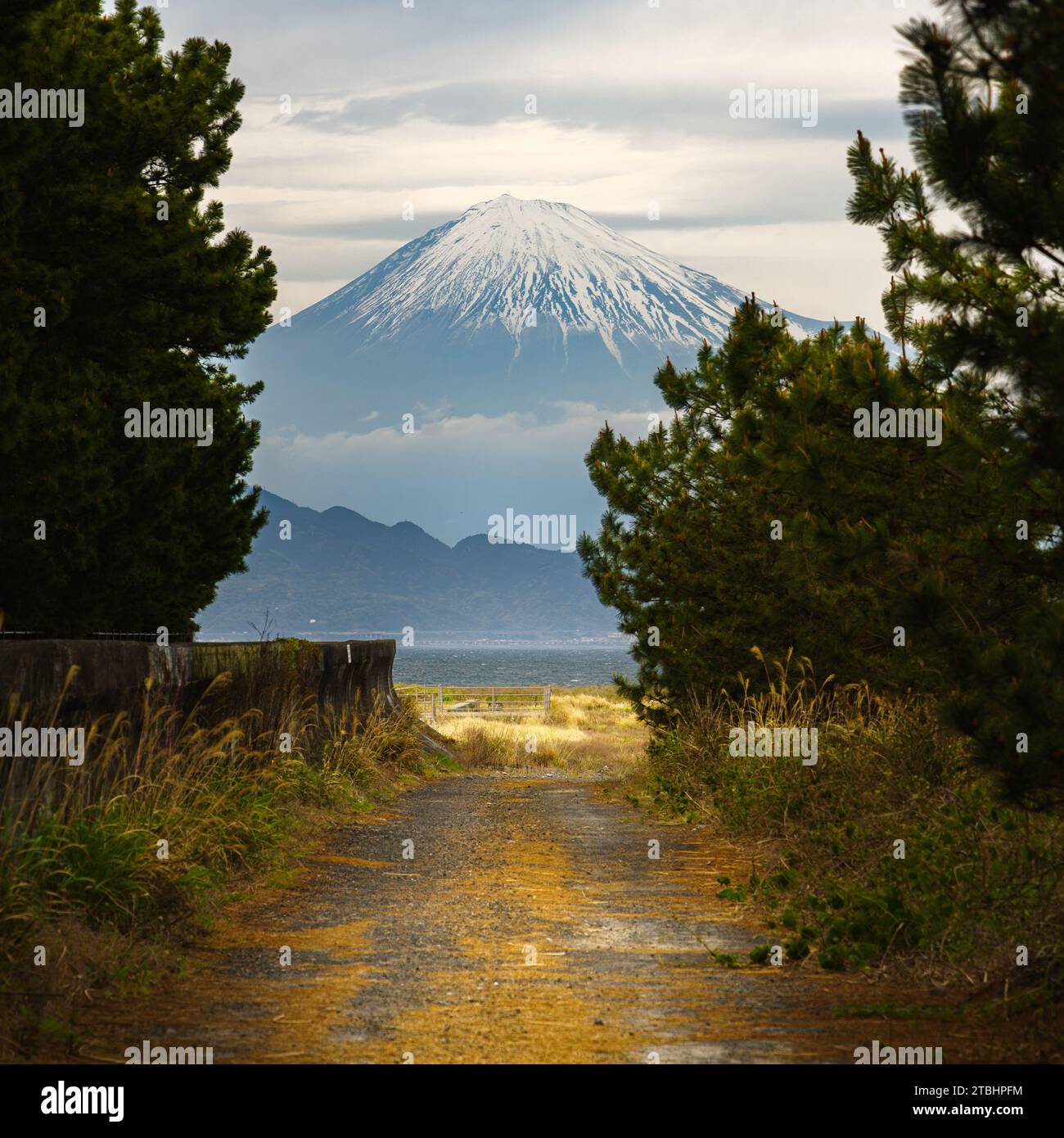 The Miho Peninsula, renowned for its stunning Miho-no-Matsubara pine ...