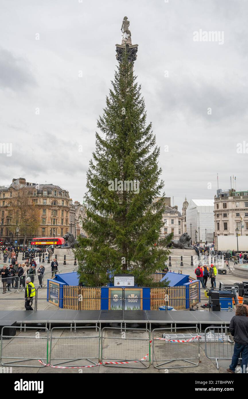 London, UK. 7th Dec, 2023. Finishing touches to the Norwegian Christmas ...