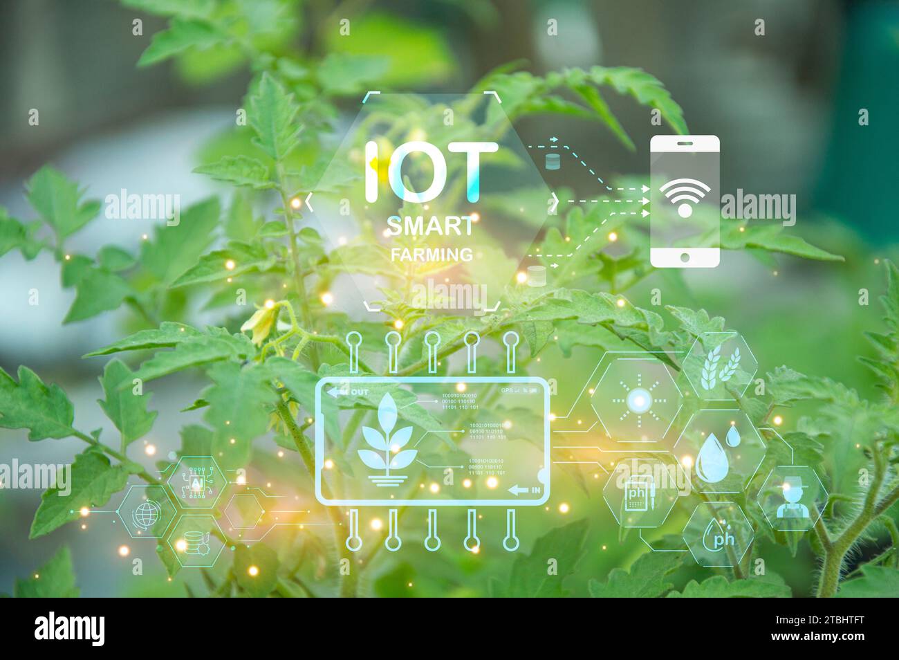 The concept of using AI and smart farming Stock Photo - Alamy