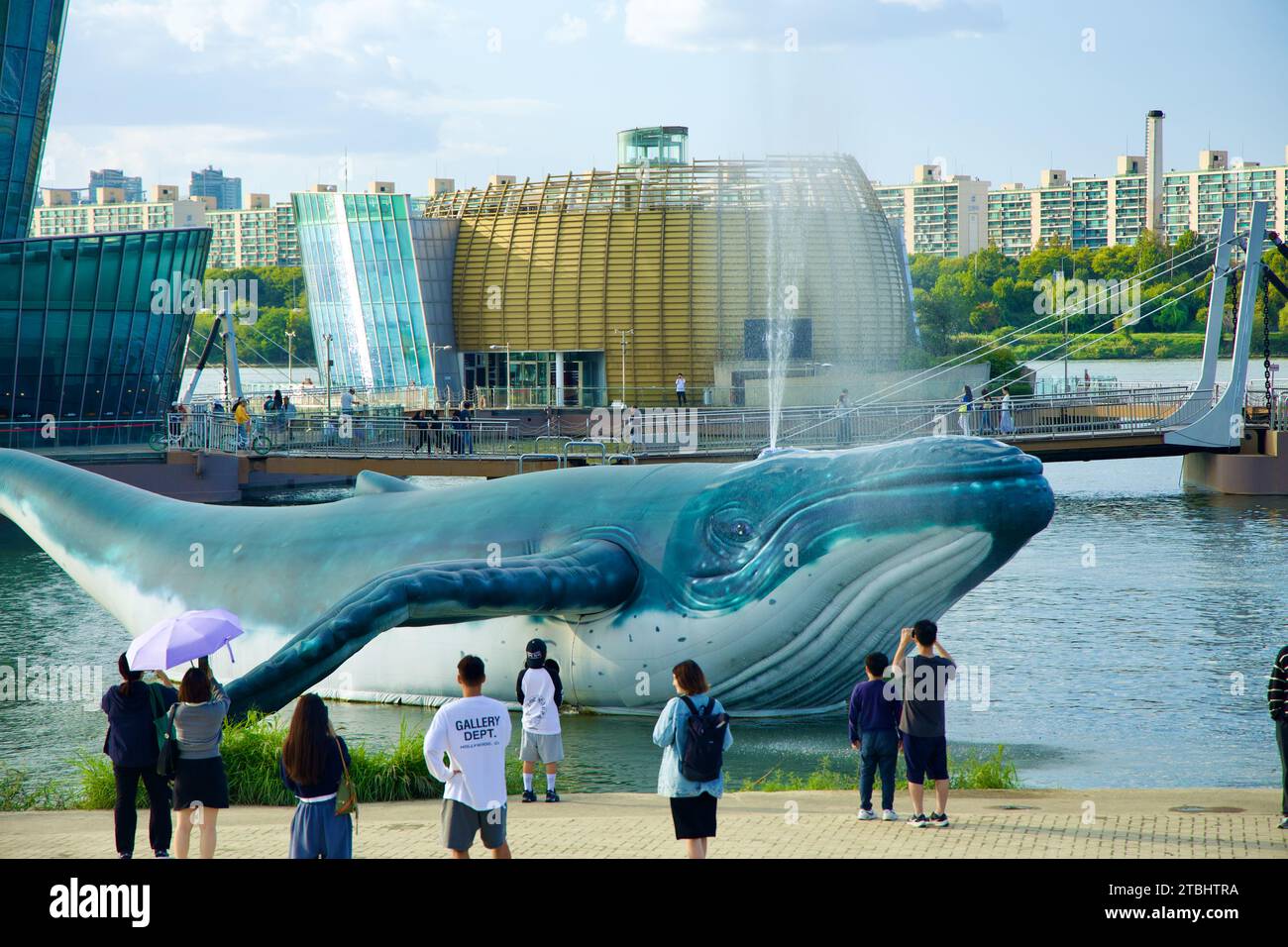 A picture of Some Sevit in Banpo Hangang Park in Seoul, South Korea ...