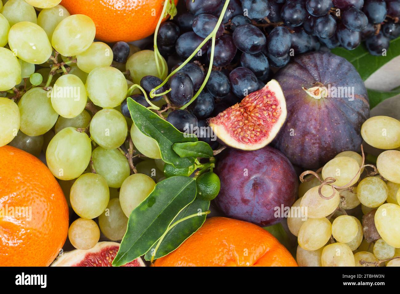 Summer orange tangerine, figs and grape fruit mix top view, healthy ...