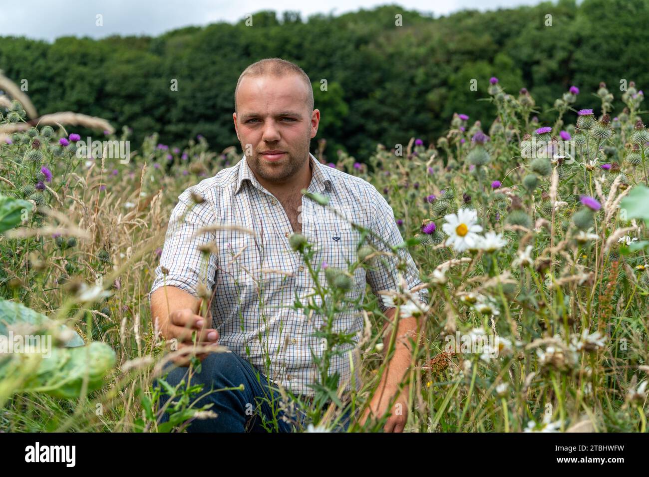 Farmer in a pollinator strip of flowers on the edge of his field which ...