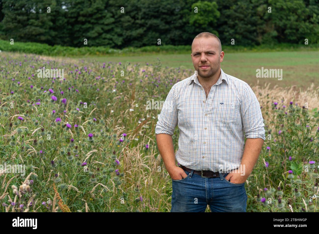 Farmer in a pollinator strip of flowers on the edge of his field which ...