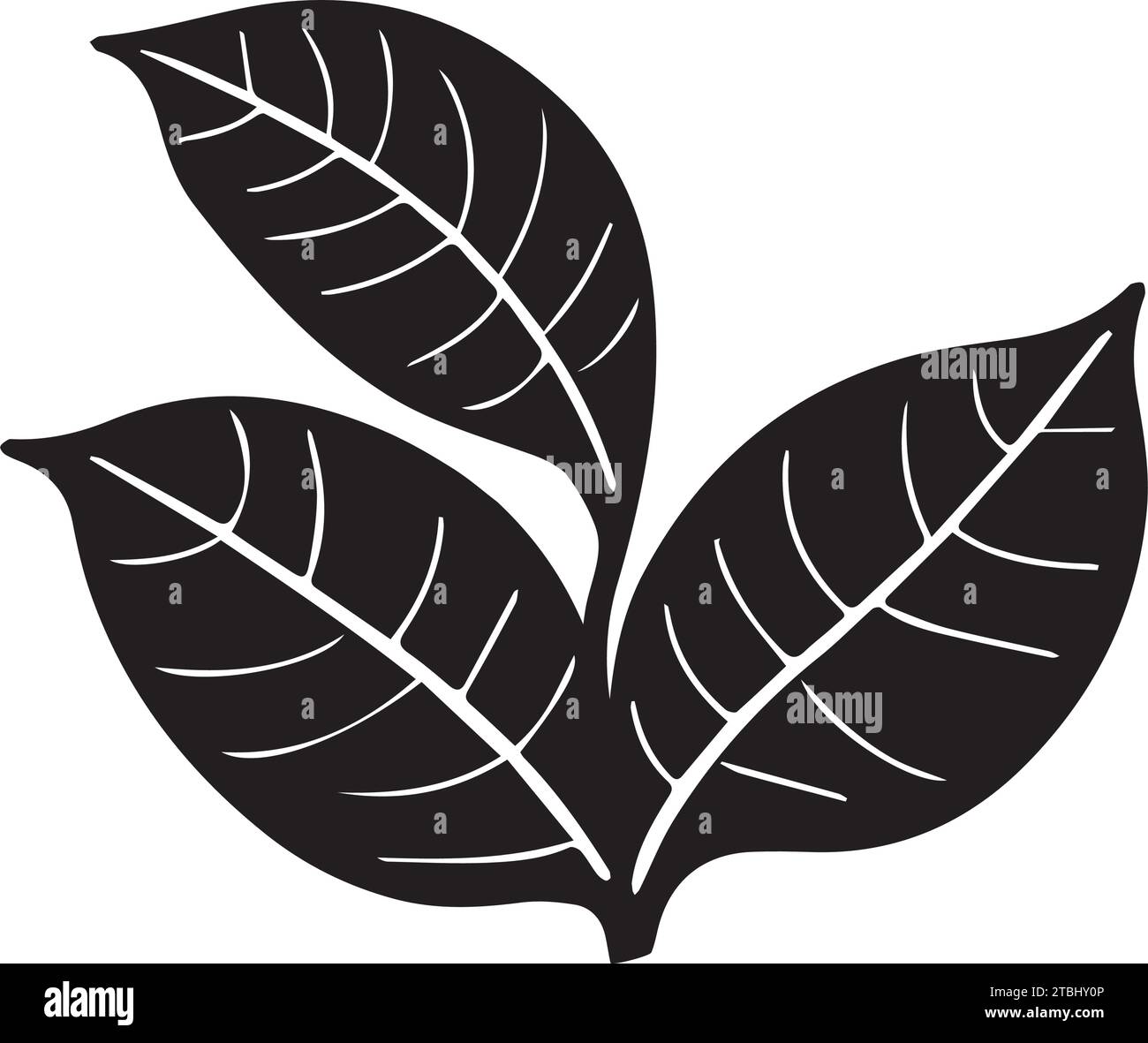 Tropical ficus plant leav icon illustration, black on white background ...