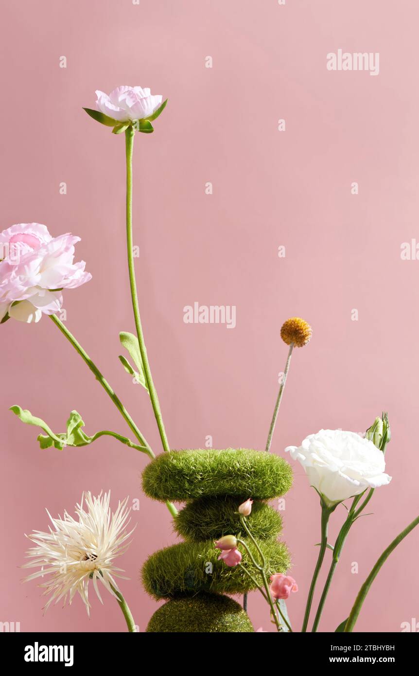 Product showcase backgrounds, product image background, photography ...