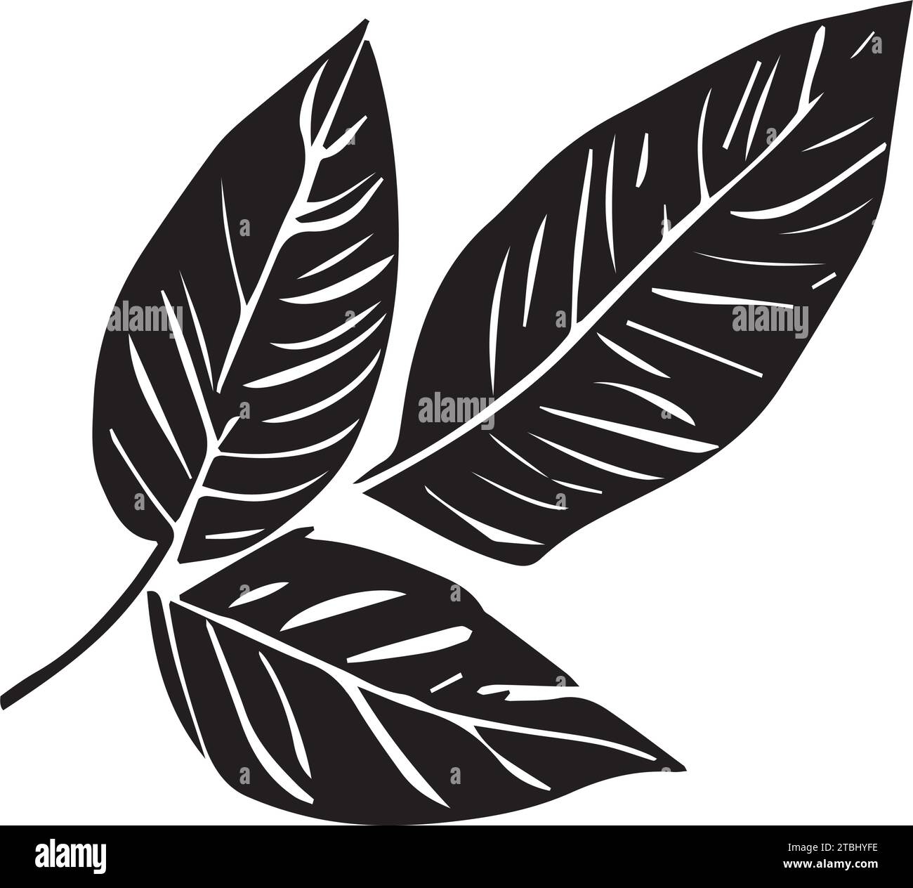 Tropical ficus plant leav icon illustration, black on white background ...