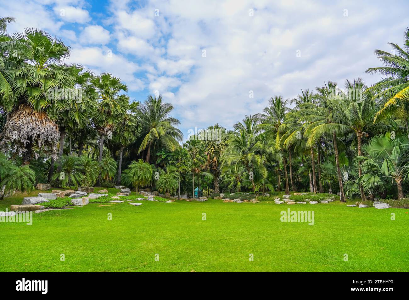 Panoramic beautiful outdoor view of a tropical rainforest in a monsoon ...