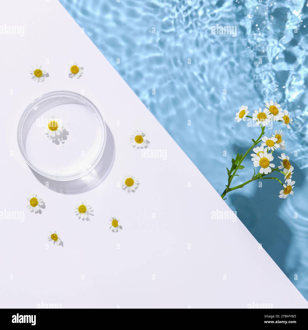 Professional product display backgrounds, Clean product photography ...