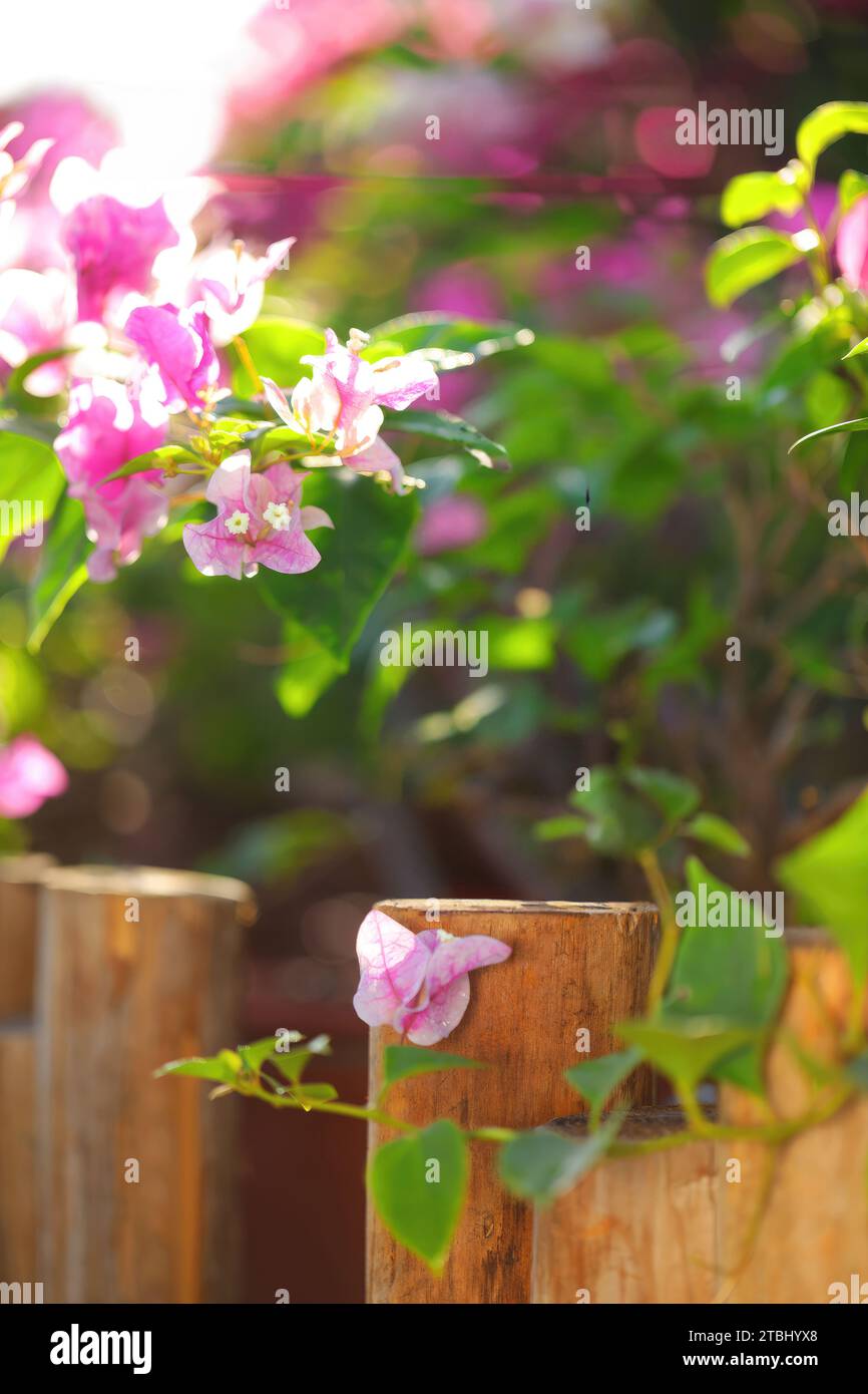 Professional product display backgrounds, Clean product photography ...