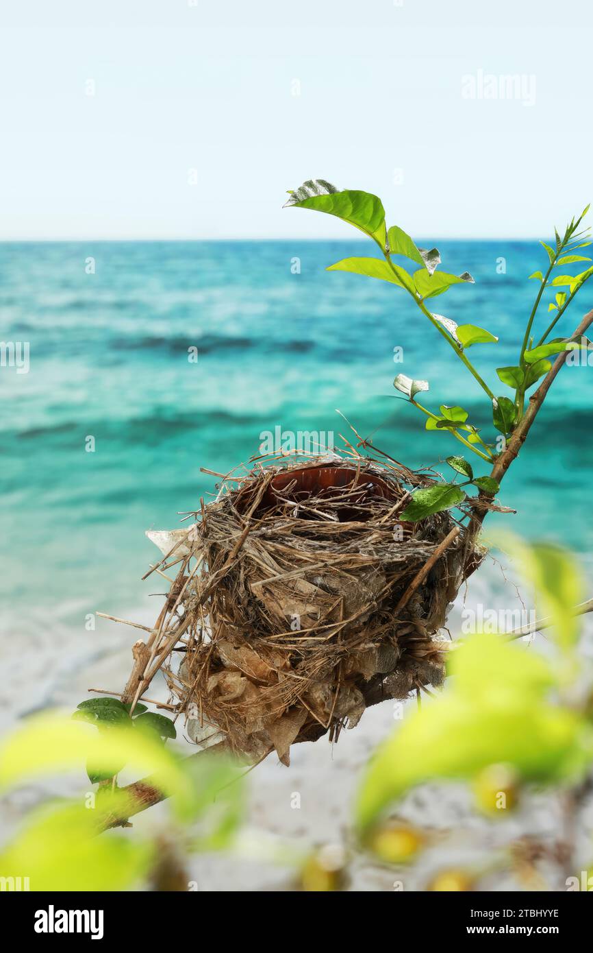 Professional product display backgrounds, Clean product photography ...