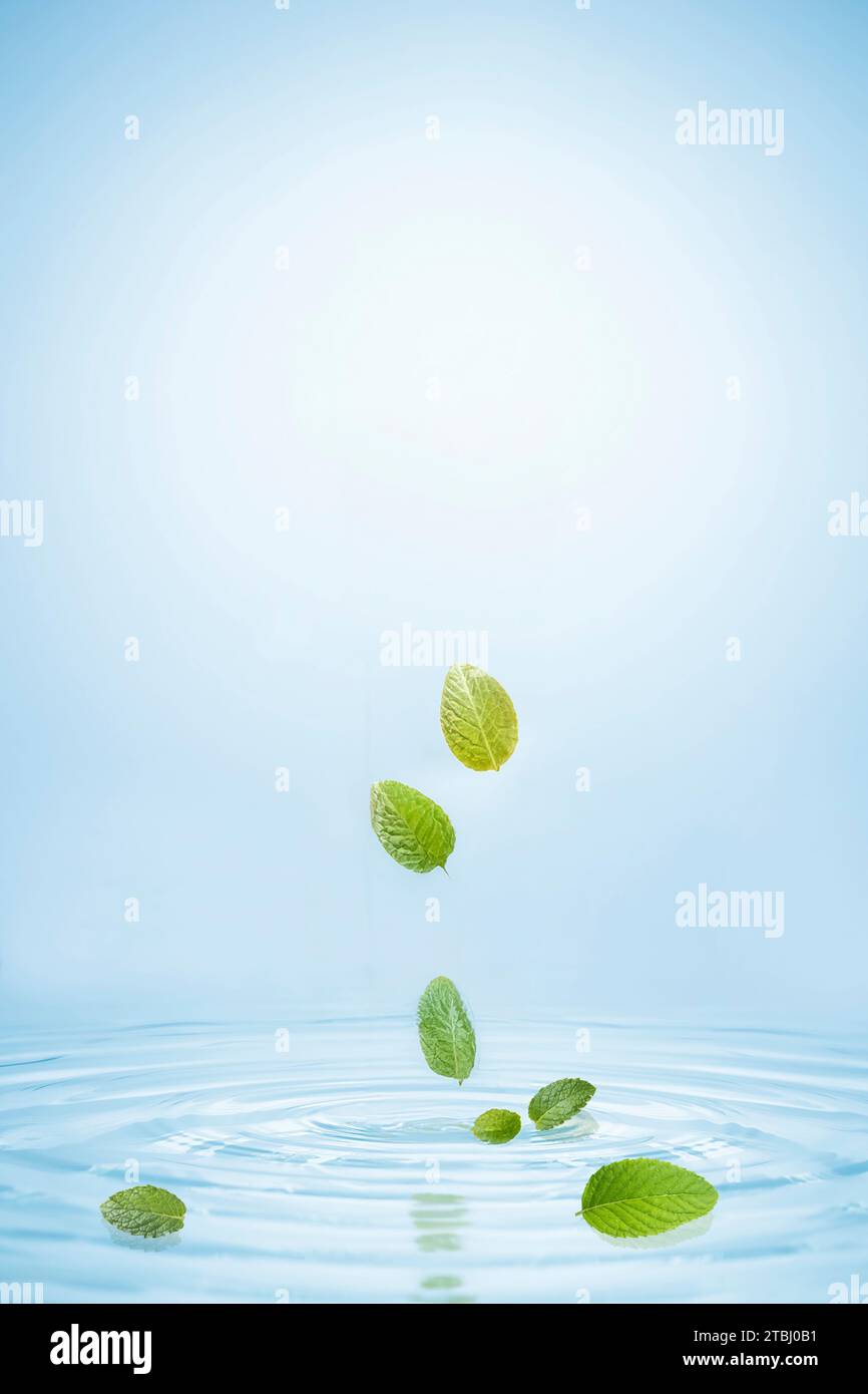 Professional product display backgrounds, Clean product photography ...