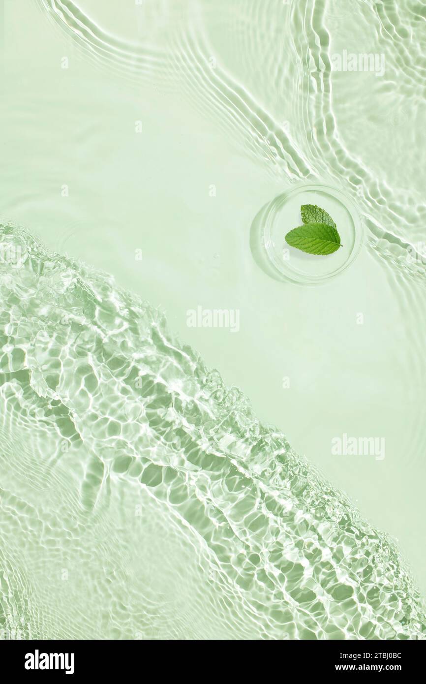 Professional product display backgrounds, Clean product photography ...