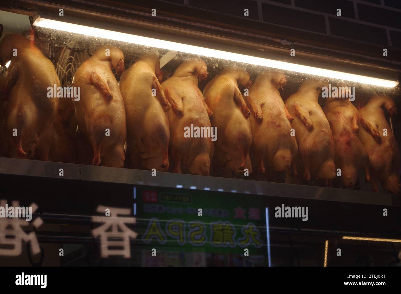 Meat duck in chinatown hi-res stock photography and images - Alamy