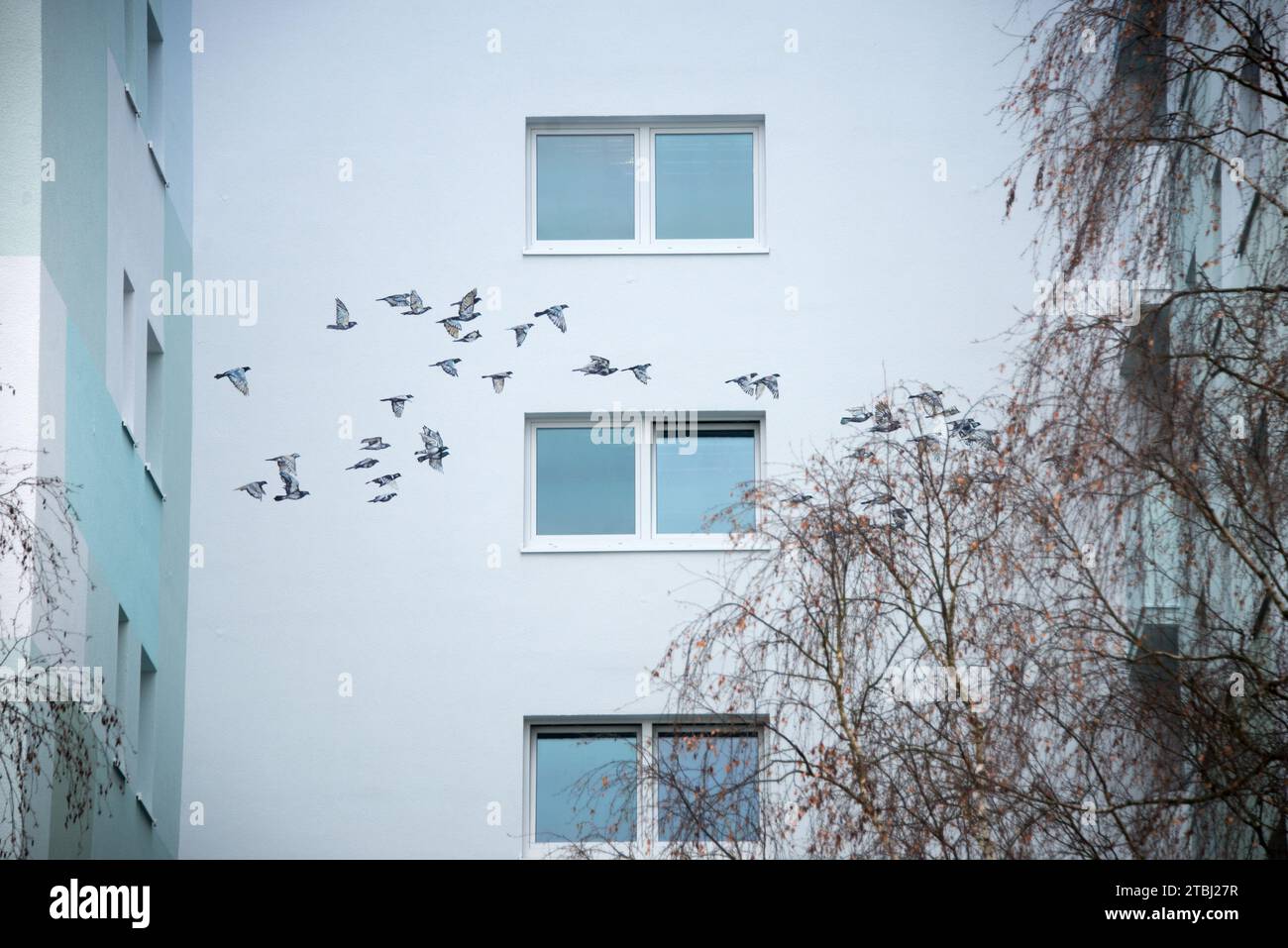 Wall mural bird art hi-res stock photography and images - Alamy