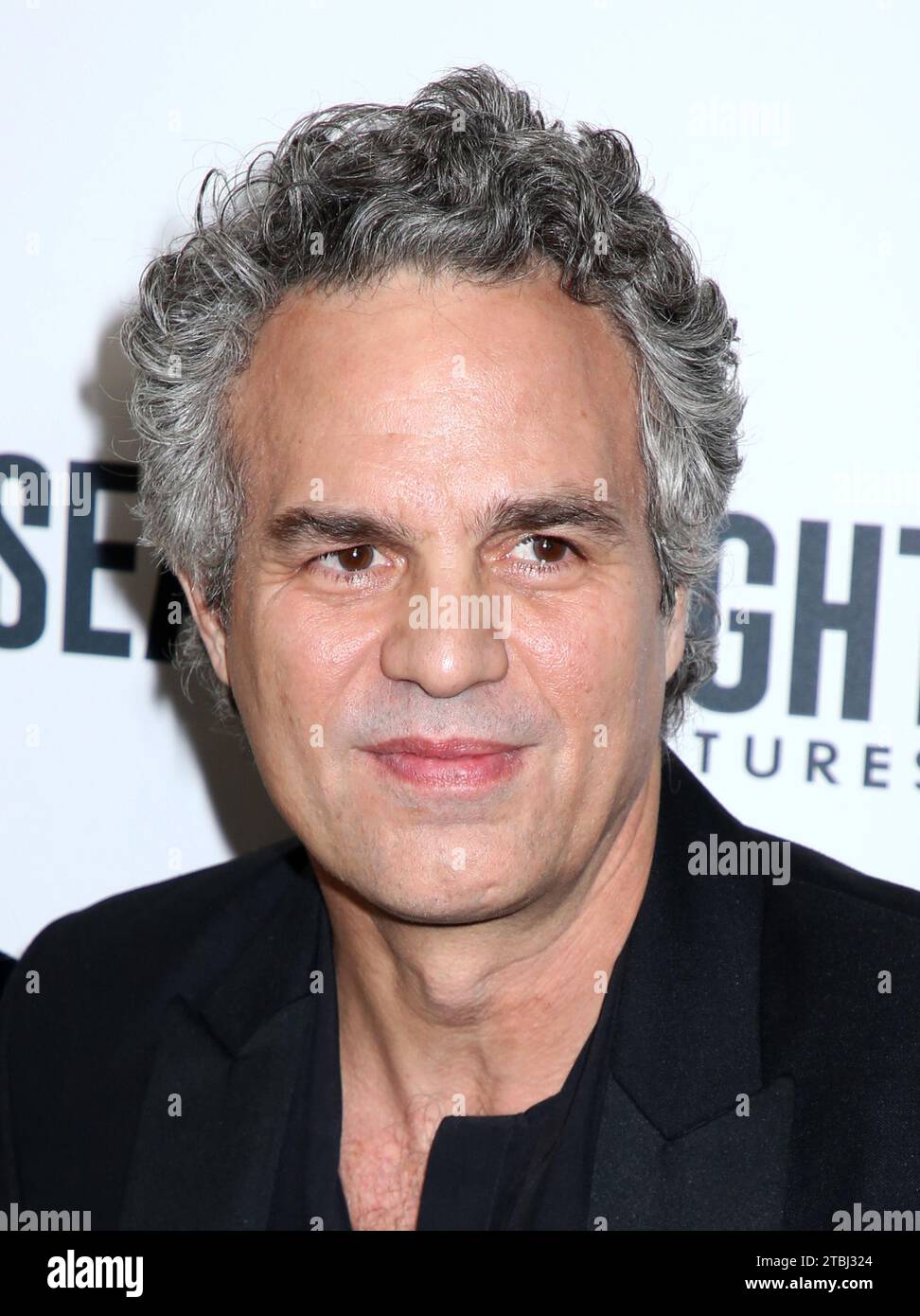 Poor things mark ruffalo hi-res stock photography and images - Alamy