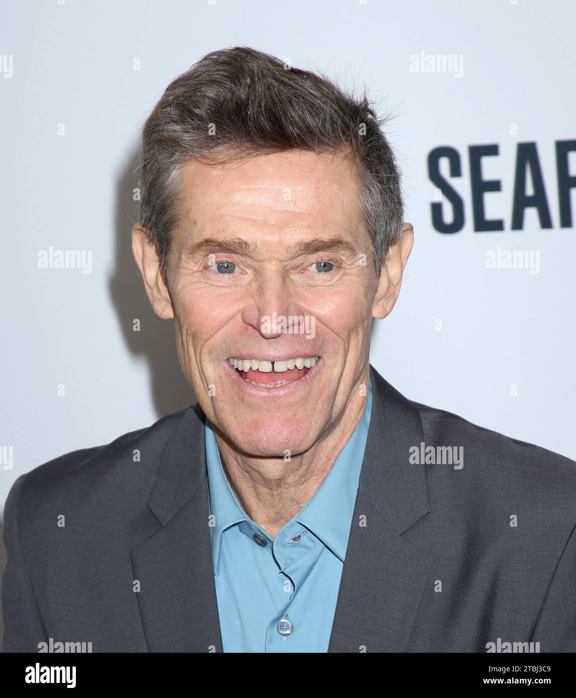 Poor things willem dafoe hi-res stock photography and images - Alamy