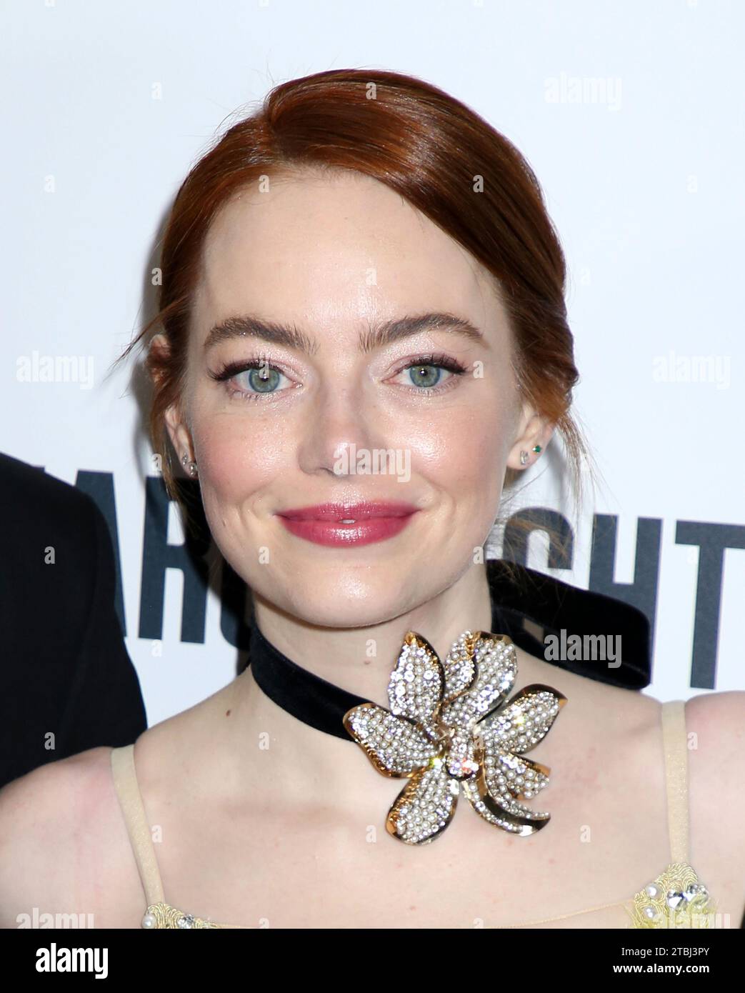 Poor things stone hi-res stock photography and images - Alamy