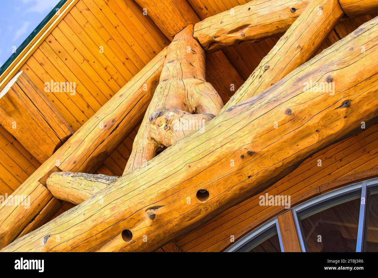 Close-up of part of a gable of a cabin build with huge log poles Stock ...