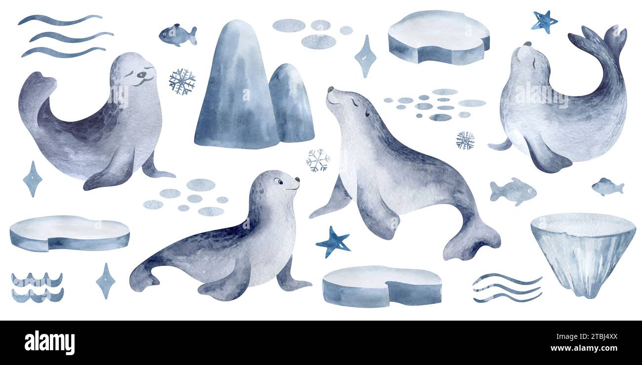 Fur seal is an animals of the Arctic. Watercolor set of beast and ice ...