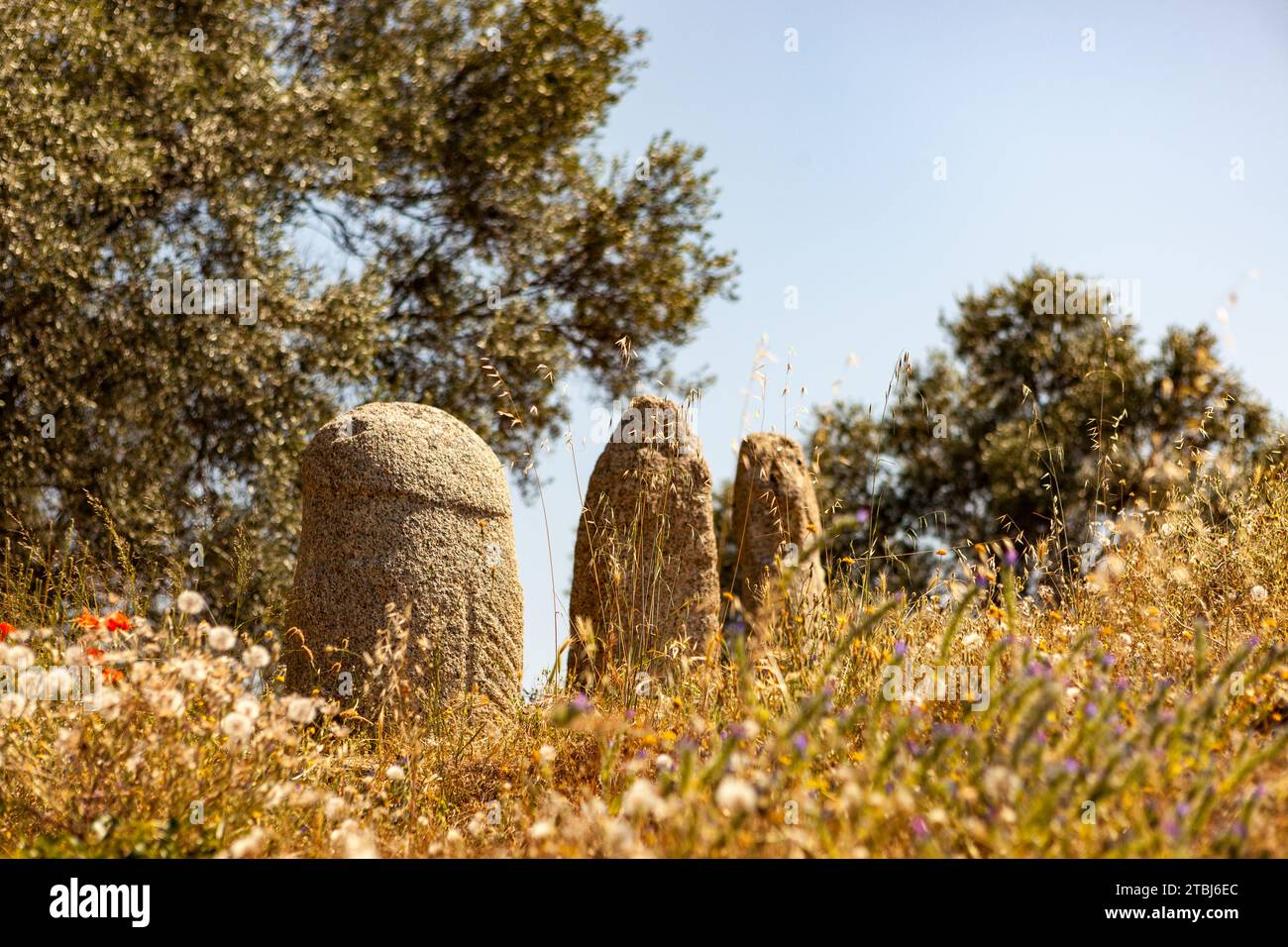 Statue-menhir, phallic symbol, Prehistoric Site of Filitosa ...