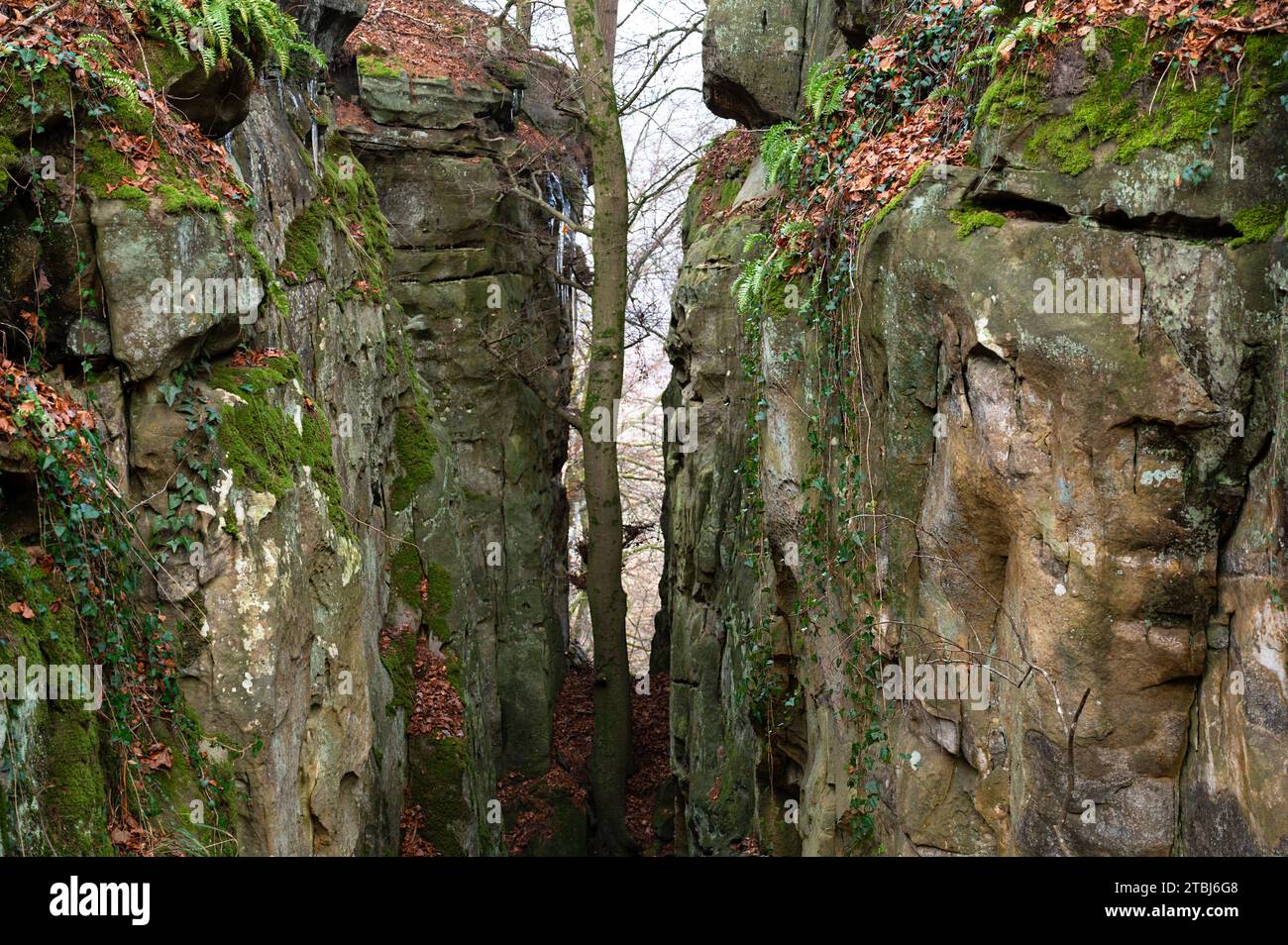 Devil Gorge at the Eifel, Teufelsschlucht with mighty boulders and ...