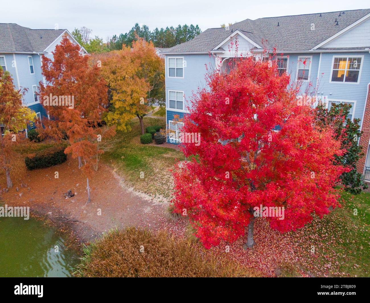 Drone photos of an apartment complex showing beautiful fall colors ...